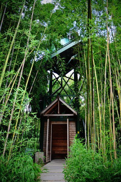 Bamboo Observation Tower | Grounds for Sculpture
